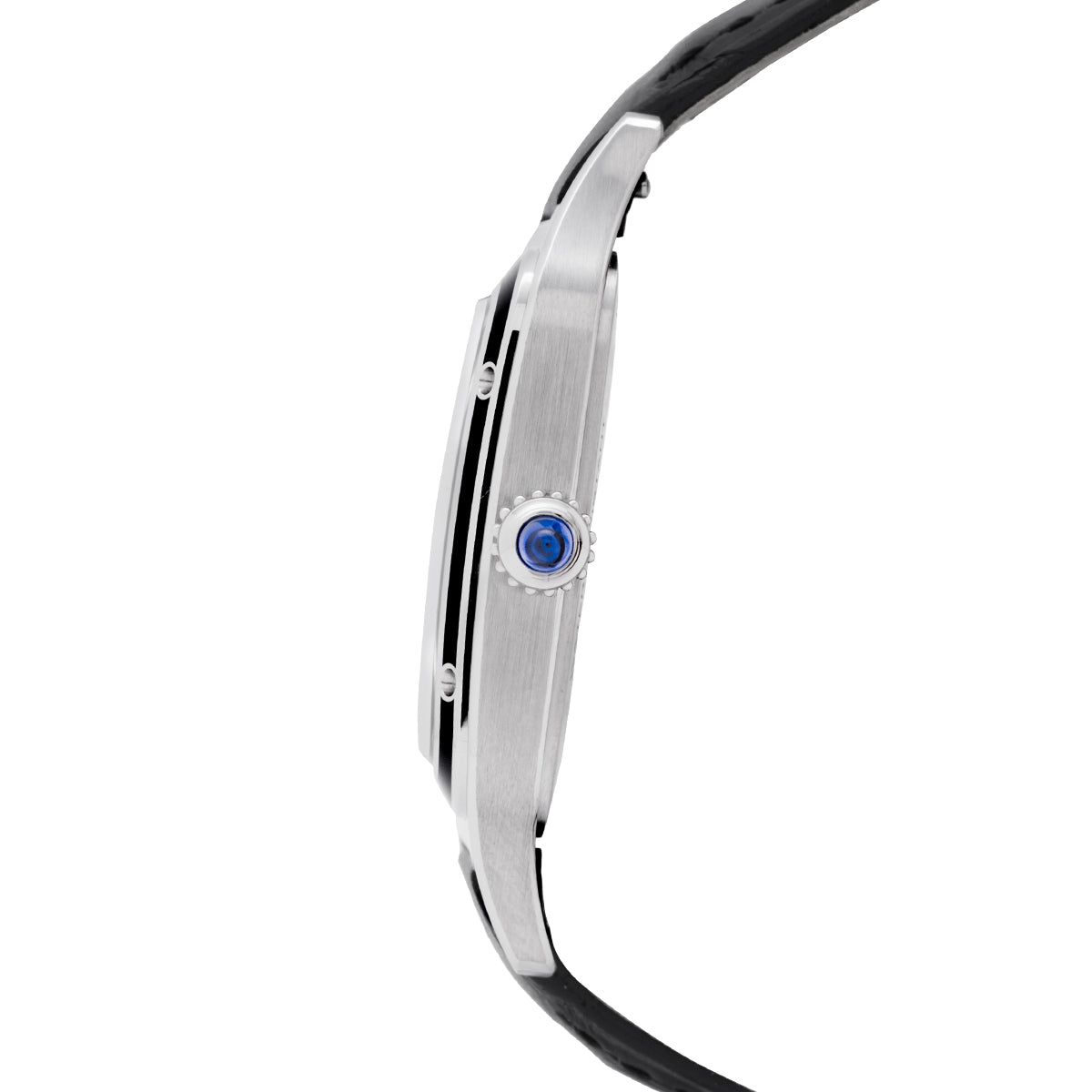 Cartier Santos-Dumont WSSA0046 Black Original Watch on Luxehouze Singapore