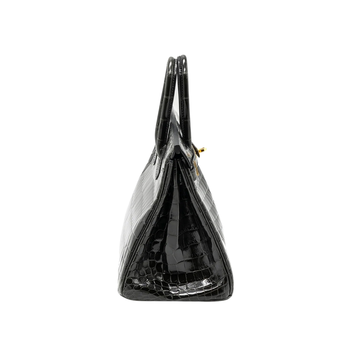 Hermès Birkin 25 Croco Shiny Niloticus GHW T Original December 2025 ...