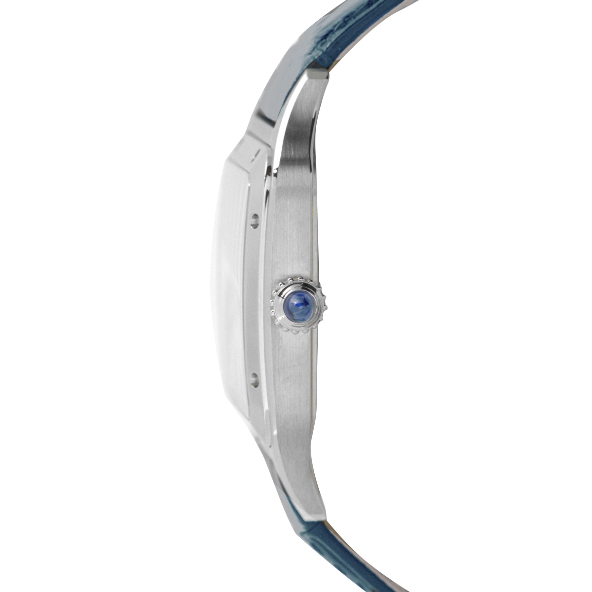 Cartier Santos-Dumont WSSA0085 Silver Original December 2025 ...